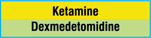 SAV-991-PK Anesthesia Labels for Syringe Identification